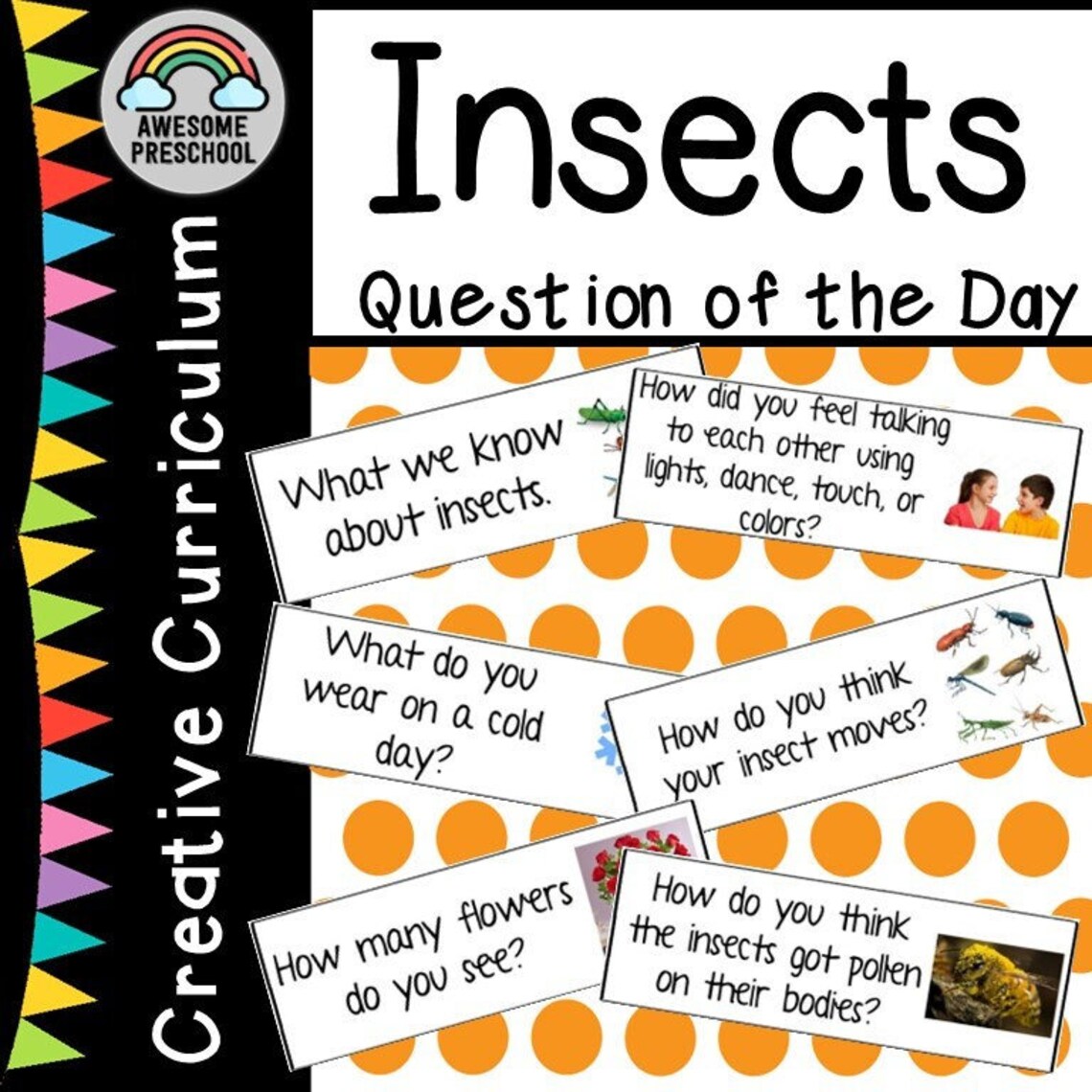 Creative Curriculum - Insects Study - Question of the Day - Etsy
