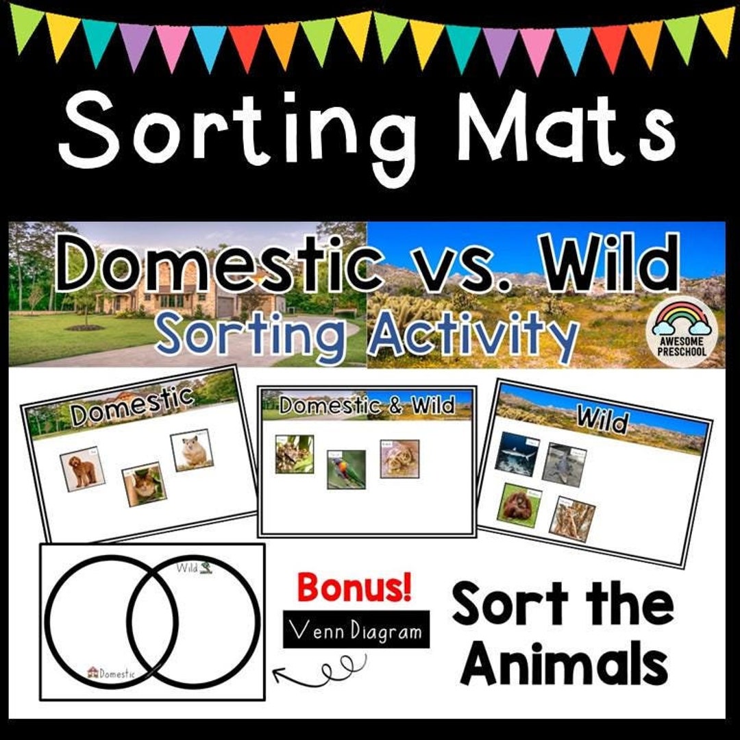 Wild & Domestic Animals Sorting Mats and Venn Diagram - Preschool ...