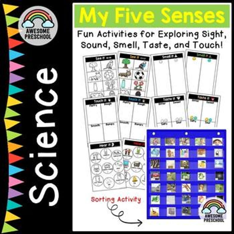 My Five Senses Printable Activities - Preschool & Early Years Students ...