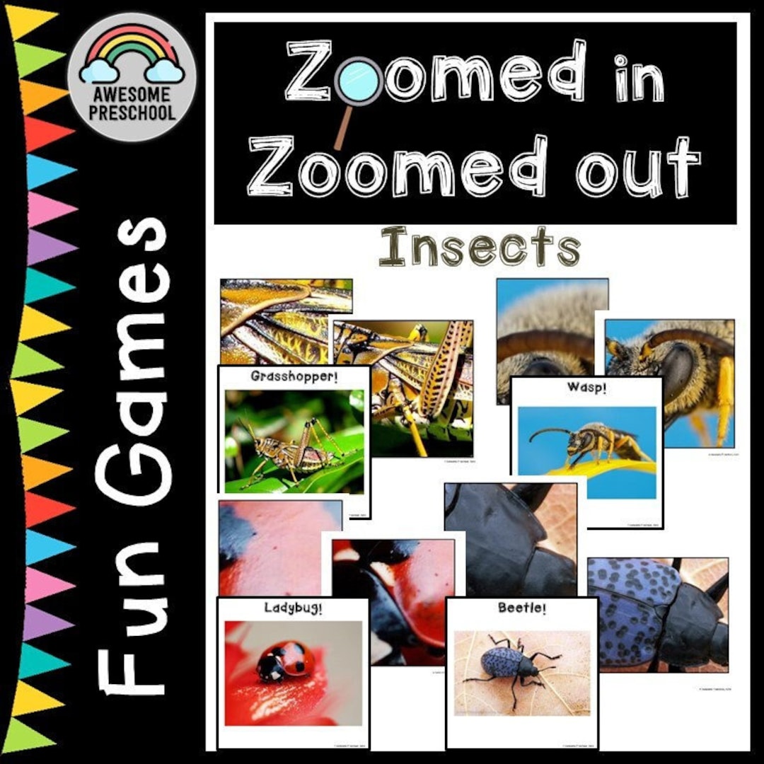 Interactive Insect Exploration: Zoom and Guess. Activity Preschool ...
