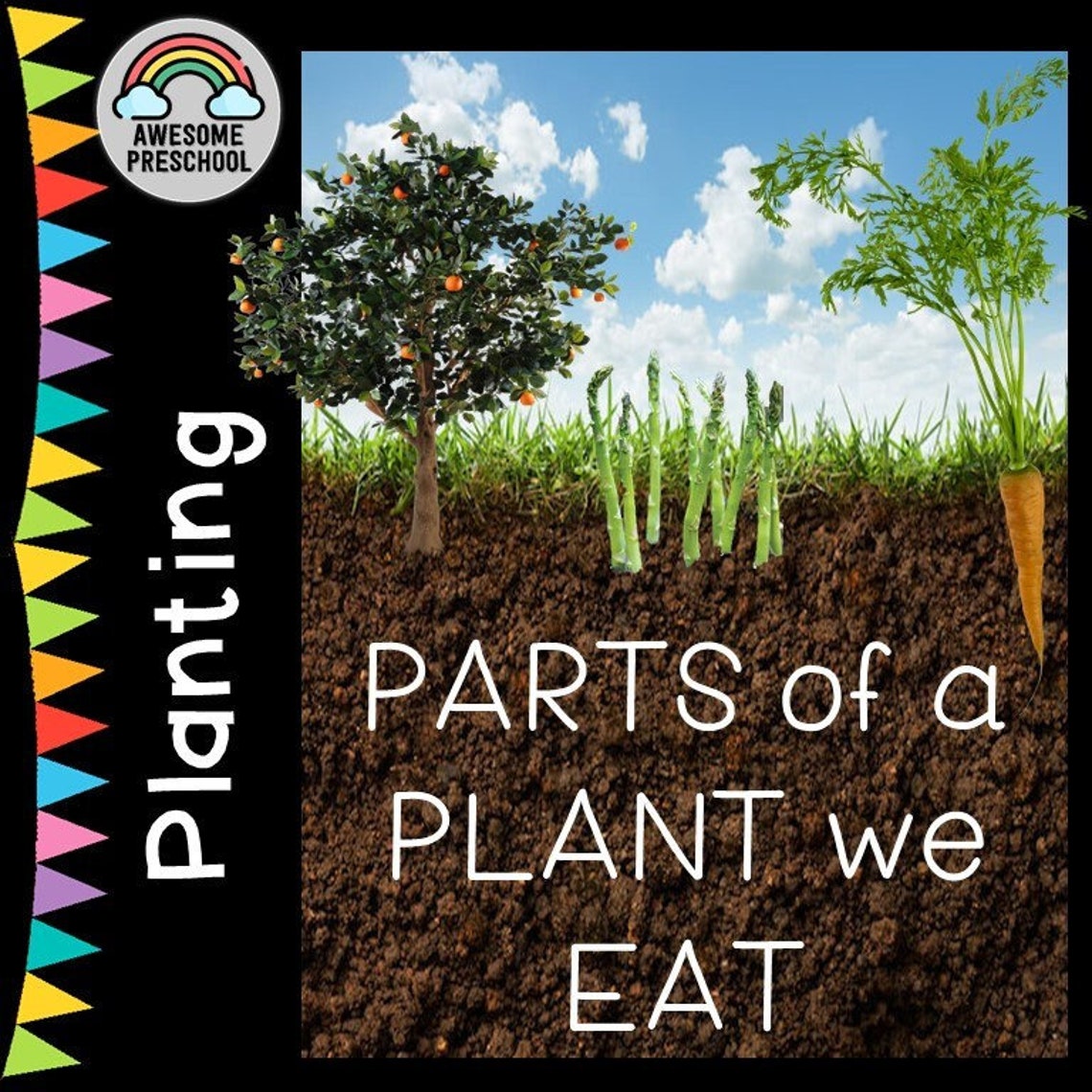 Planting/gardening Unit/study - Parts of the Plant We Eat - Etsy