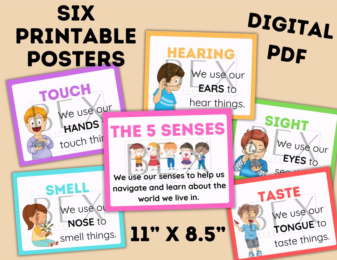 The Five Senses-printable/digital Classroom Posters-set of Six - Etsy