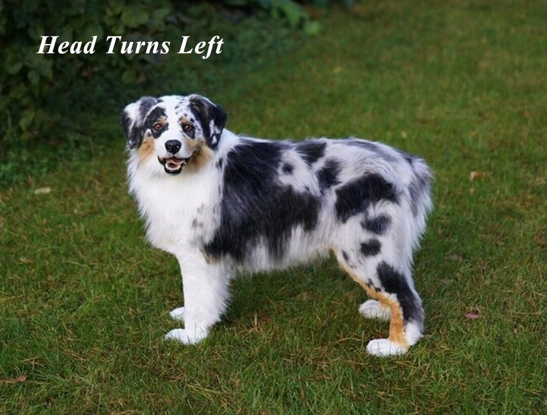 Articulated Life Size Dog Replica With Poseable Skeleton and Movable ...
