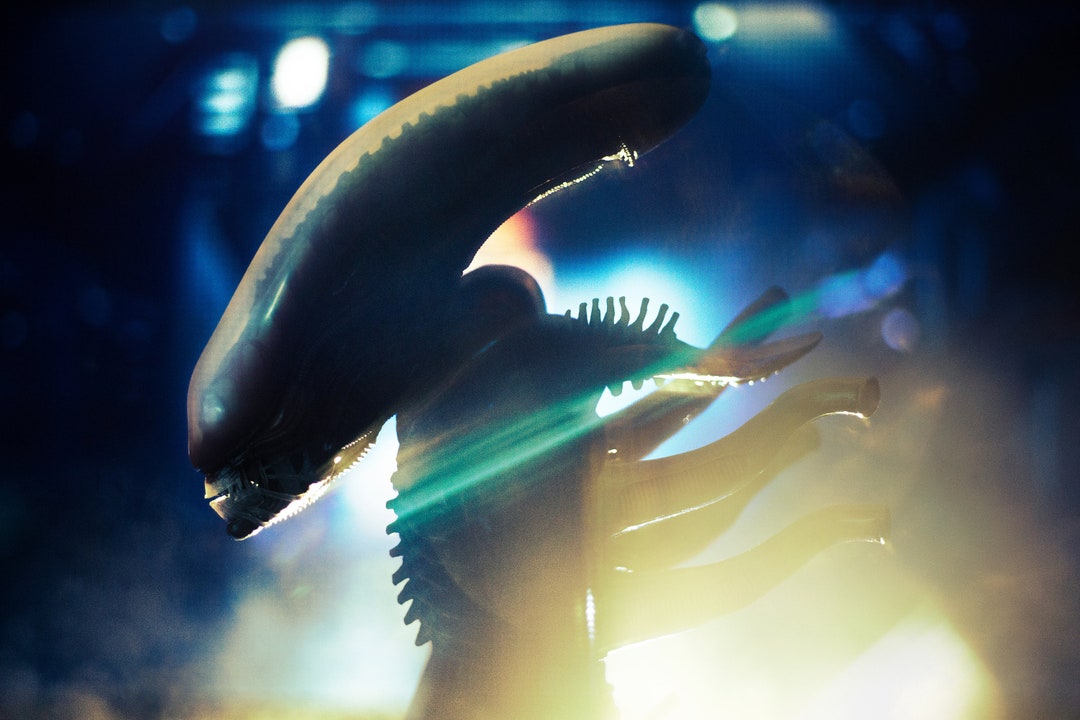 ALIEN Xenomorph in the Tunnel Big Chap NECA Toy Photography Digital ...