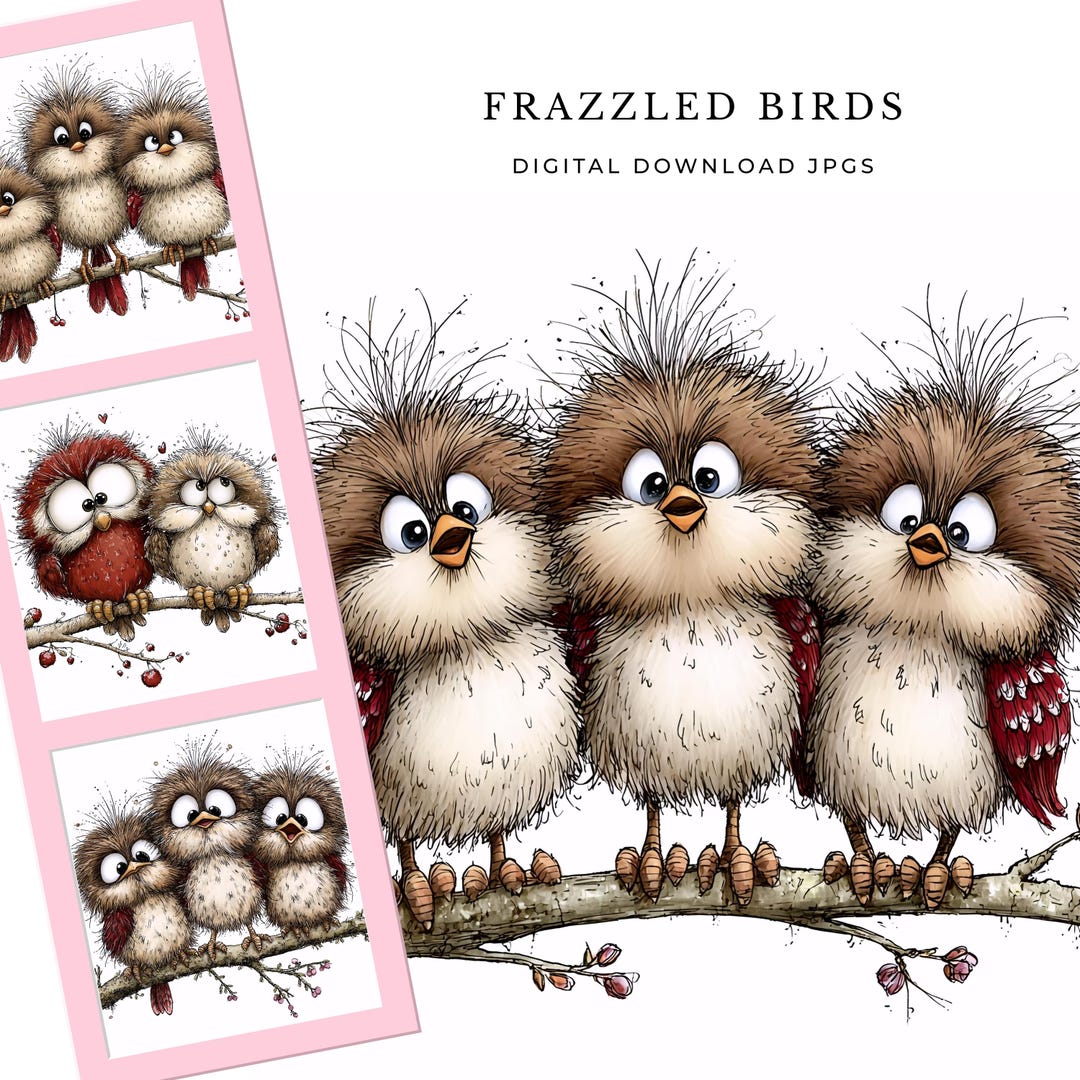 11 Quirky Birds Clipart Bundle, Frazzled Birds Watercolor Illustrations ...