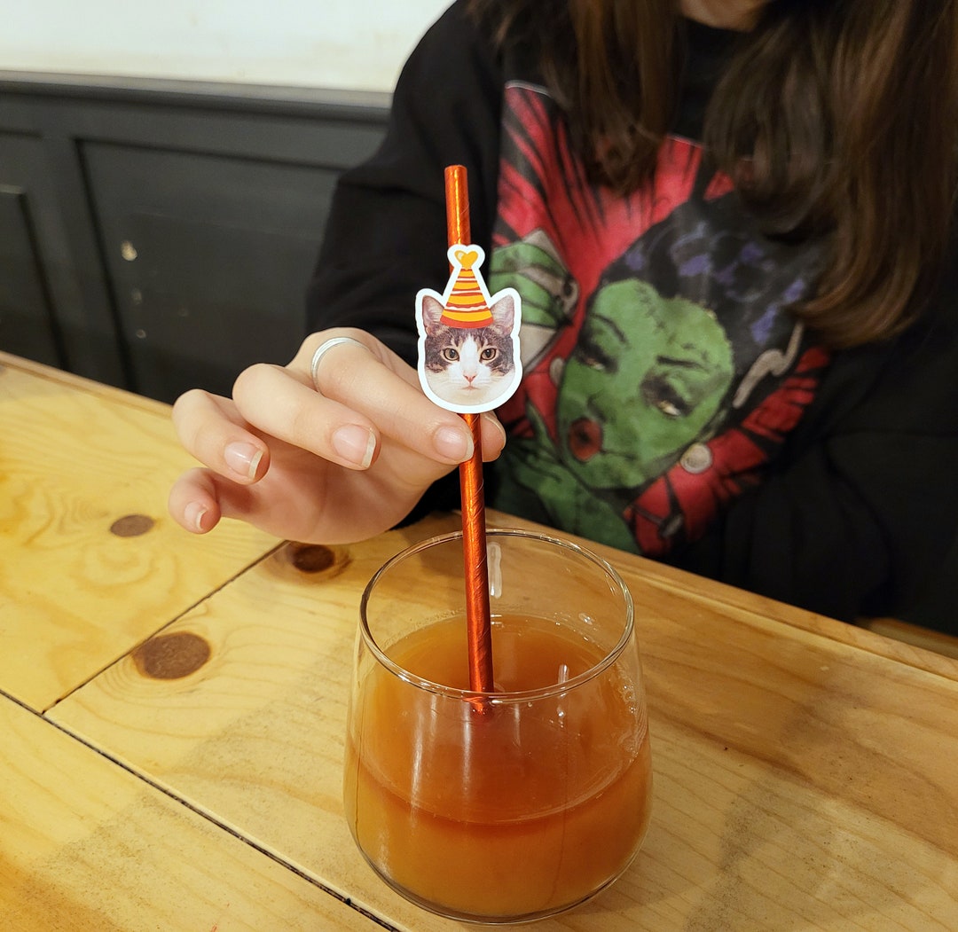 Personalized Paper Straws, With Party Hats, for Birthdays ...