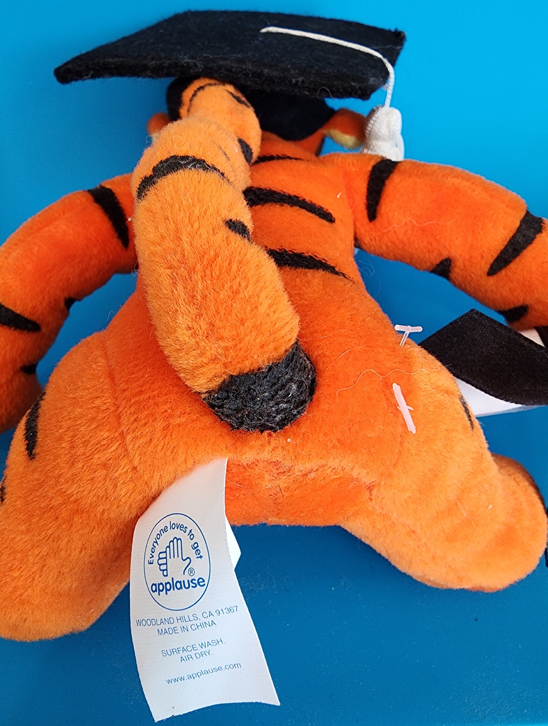 Disney Tiger Graduation Cap Diploma and Tassle - Etsy