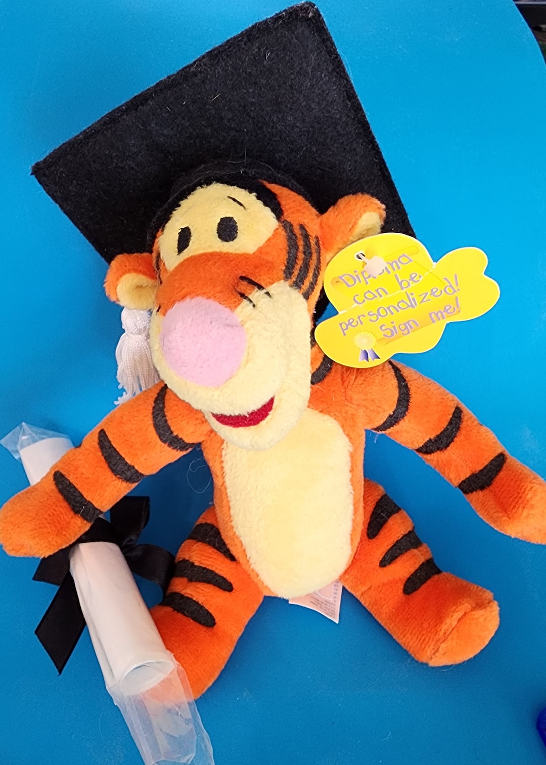 Disney Tiger Graduation Cap Diploma and Tassle - Etsy