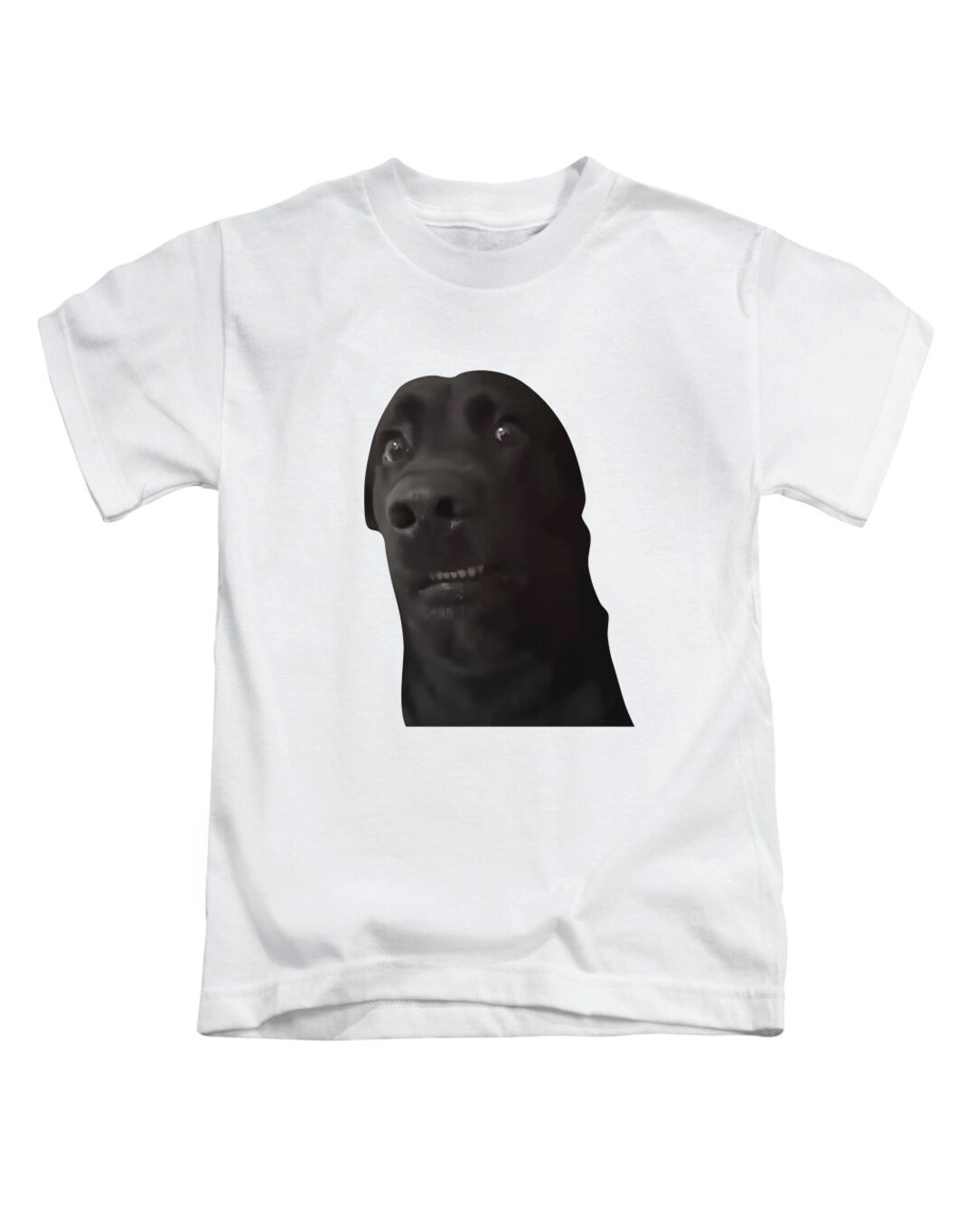 Confused Labrador Dog Meme Adults T-shirt Funny Tee Top New Gift - Etsy