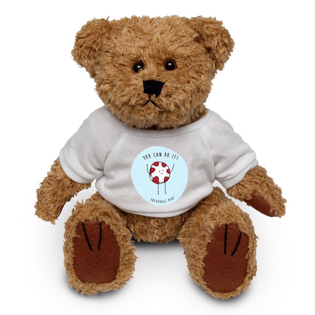 Teddy bear you can get in store
