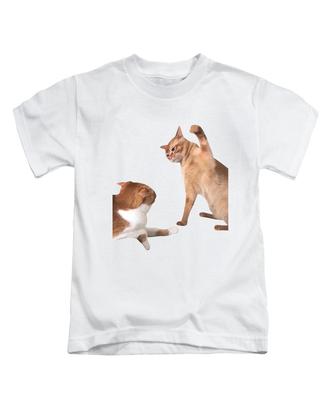 Punching Cat Meme Adults T-shirt Funny Meme Viral Trending Tee Top - Etsy