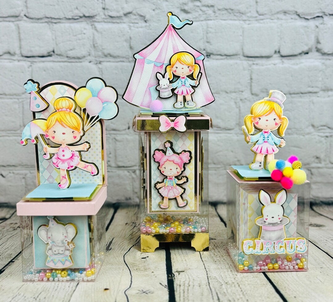 Pink Circus Themed Premium Favor Box Set of 3, Acetate Circus Favor Box ...