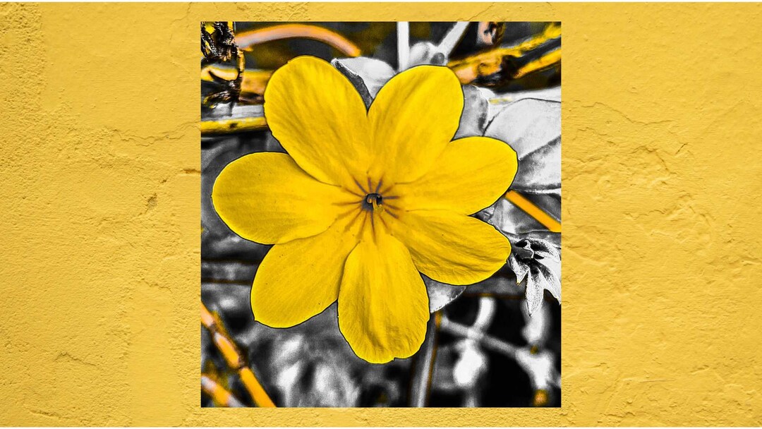 Flower Pop Art Nature Digital Art Wall Artpop Flowerwall Etsy flower-pop-art-nature-digital-art-wall-artpop-flowerwall-etsy