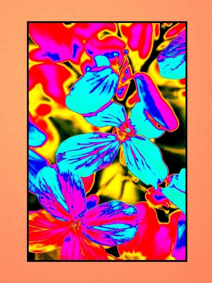 Artflower ,petals,pop Art ,nature ,digital Art ,wall Art,pop Flower ...