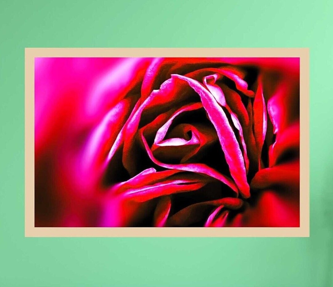 Flower ,petals,pop Art ,nature ,digital Art ,wall Art,pop Flower,wall ...