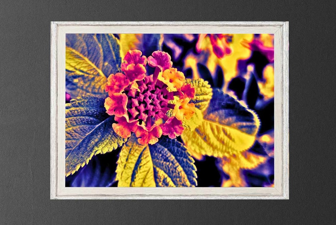 Flower, Colorful Flower, Leaves, Colored Leaves, Digital Printing ...