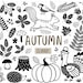 Autumn Clipart, Turkey SVG, Fall Svg Bundle, Thanksgiving Svg, Pumpkin ...