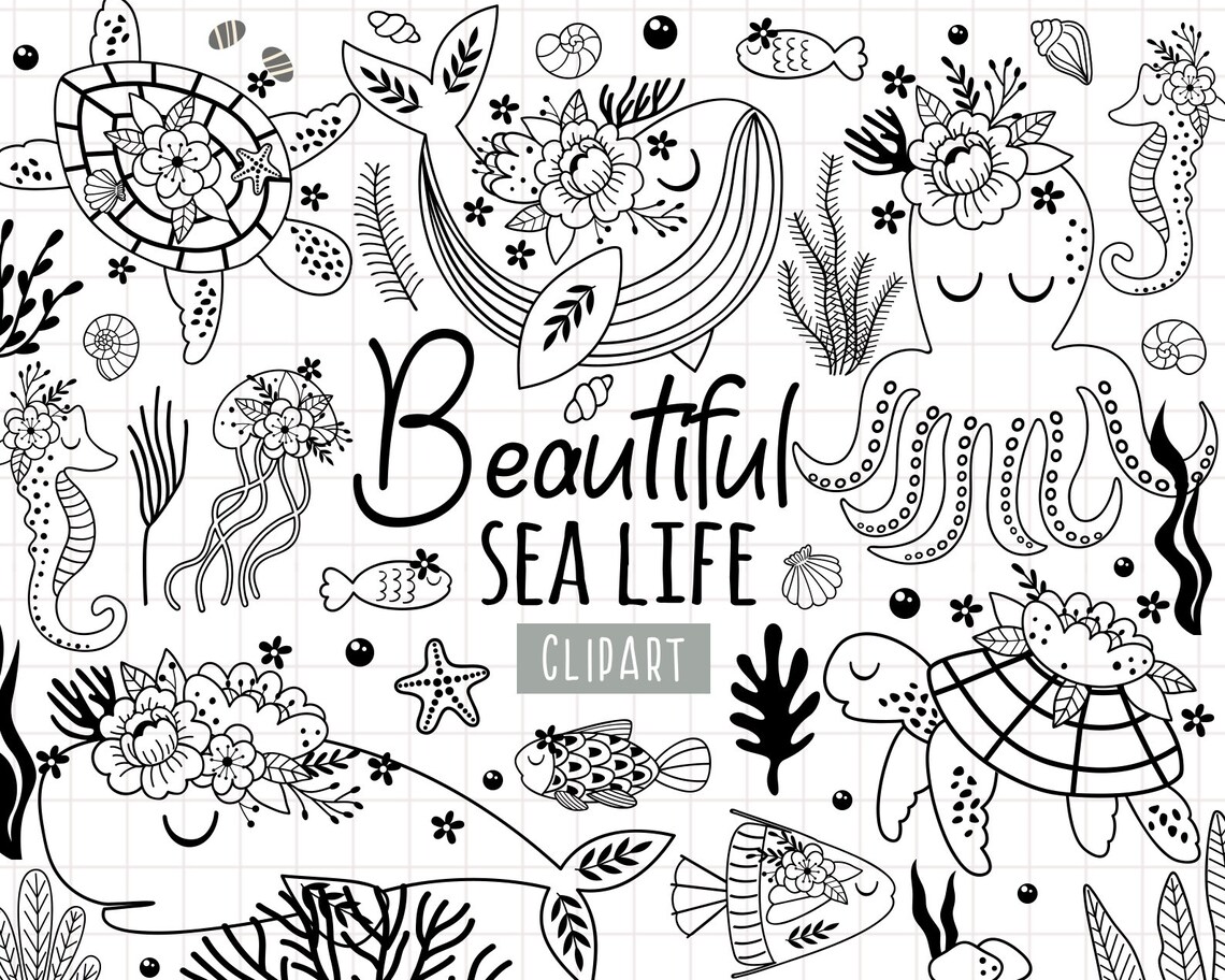 Floral Sea Life Clip Art, Ocean Animals Svg, Boho Sea Animal Clipart ...