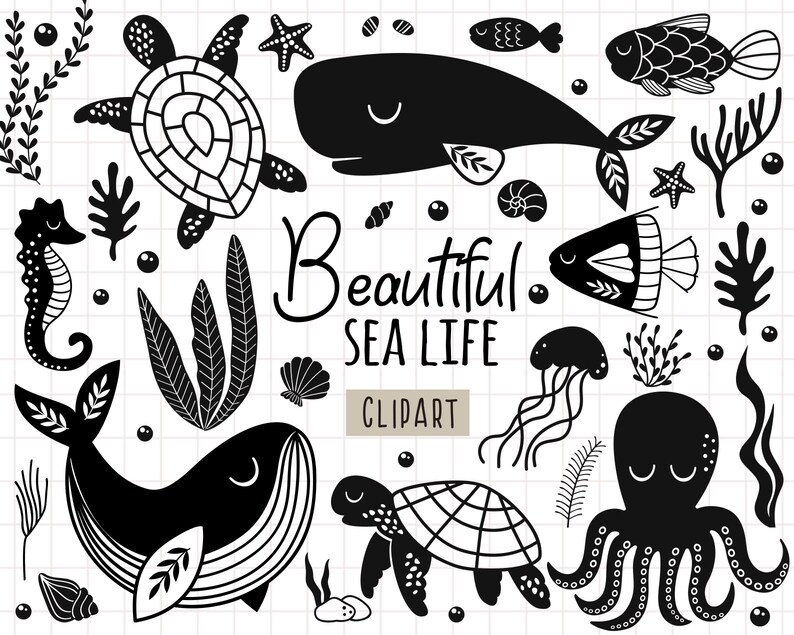 Sea Life Clip Art, Ocean Animals Svg, Boho Sea Animal Clipart, Black ...