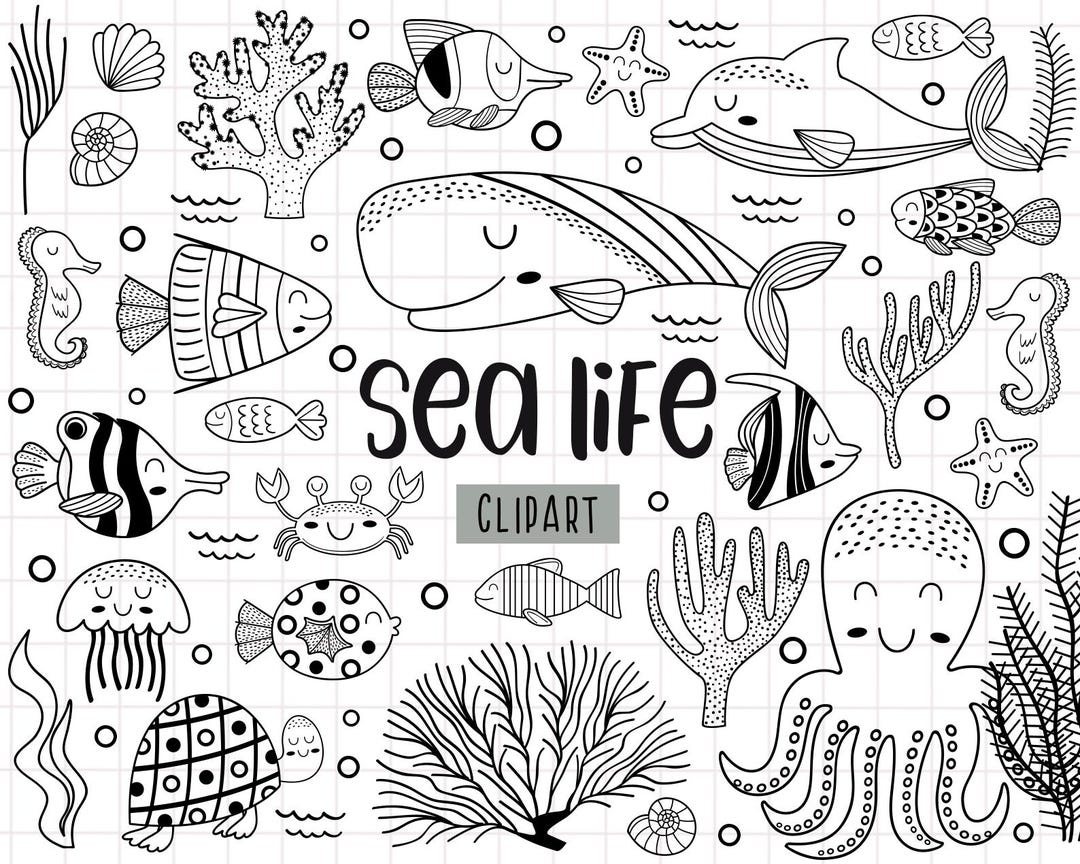 Cute Sea Animals Clipart, Underwater Animals SVG, Ocean Animals Png,sea ...