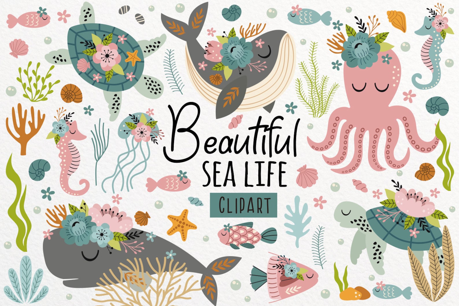 Floral Sea Life Clip Art, Ocean Animals Svg, Boho Sea Animal Clipart ...