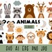 Animals Clipart, Safari Animals Svg, Forest Animals, Woodland Animals ...