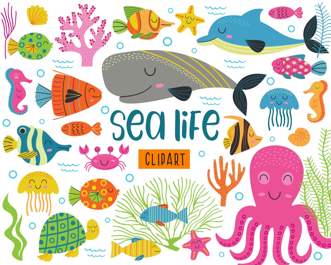 Sea Life Clipart, Ocean Clipart, Coral Reef Fish Clipart, Colorful Fish ...
