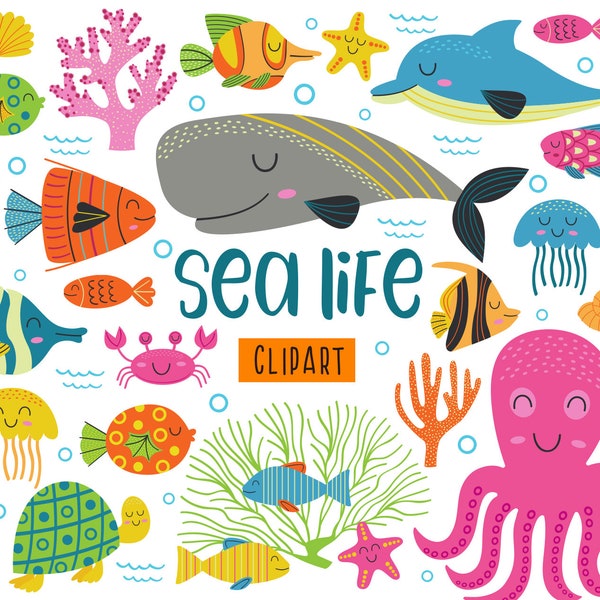 Coral Clipart - Etsy