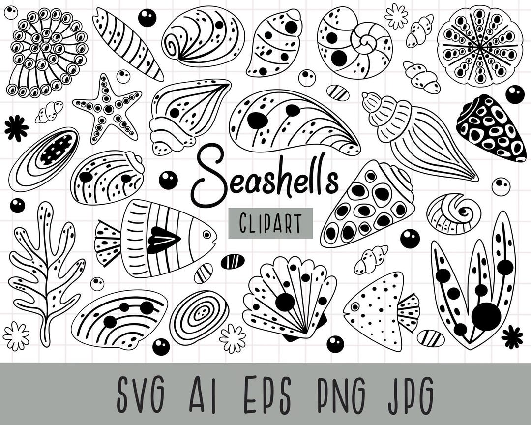 Seashell SVG, Outline Seashells, Sea Life, Ocean Seashell Clipart ...