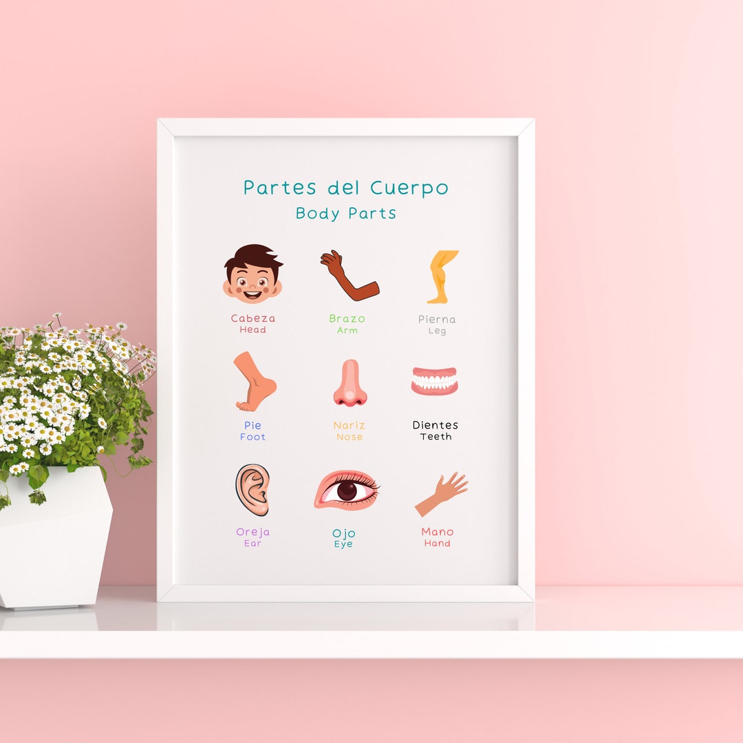 Body Part Names, Spanish Vocabulary Poster, Preschool-educational ...