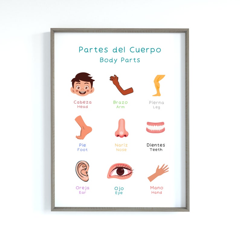 Body Part Names, Spanish Vocabulary Poster, Preschool-educational ...