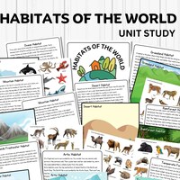 Bright Science Talk Bulletin Board Science Classroom Decor Science Door ...