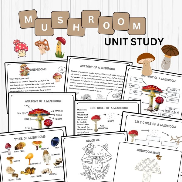 Mushroom Activity Montessori - Etsy
