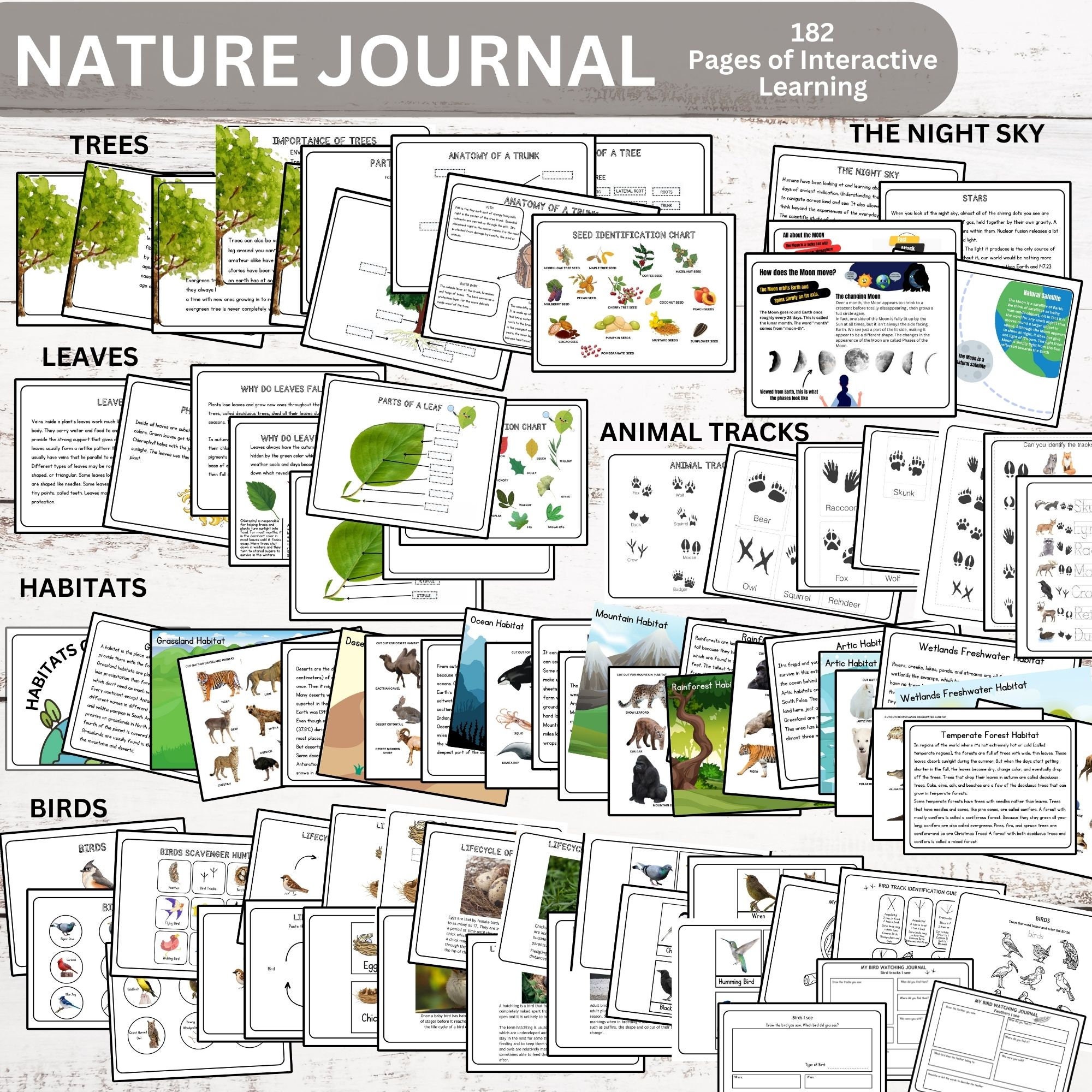 Nature Journal Mega Bundle Homeschool Learning Materials Charlotte ...