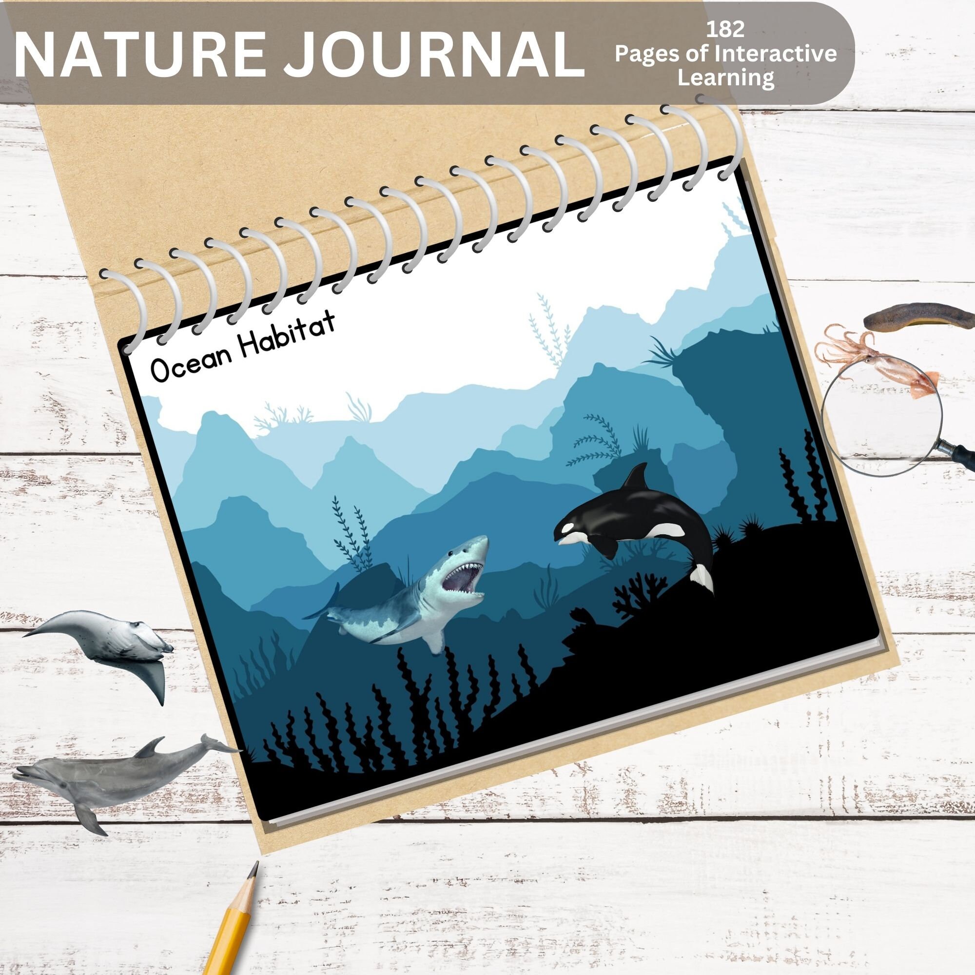 Nature Journal Mega Bundle Homeschool Learning Materials Charlotte ...