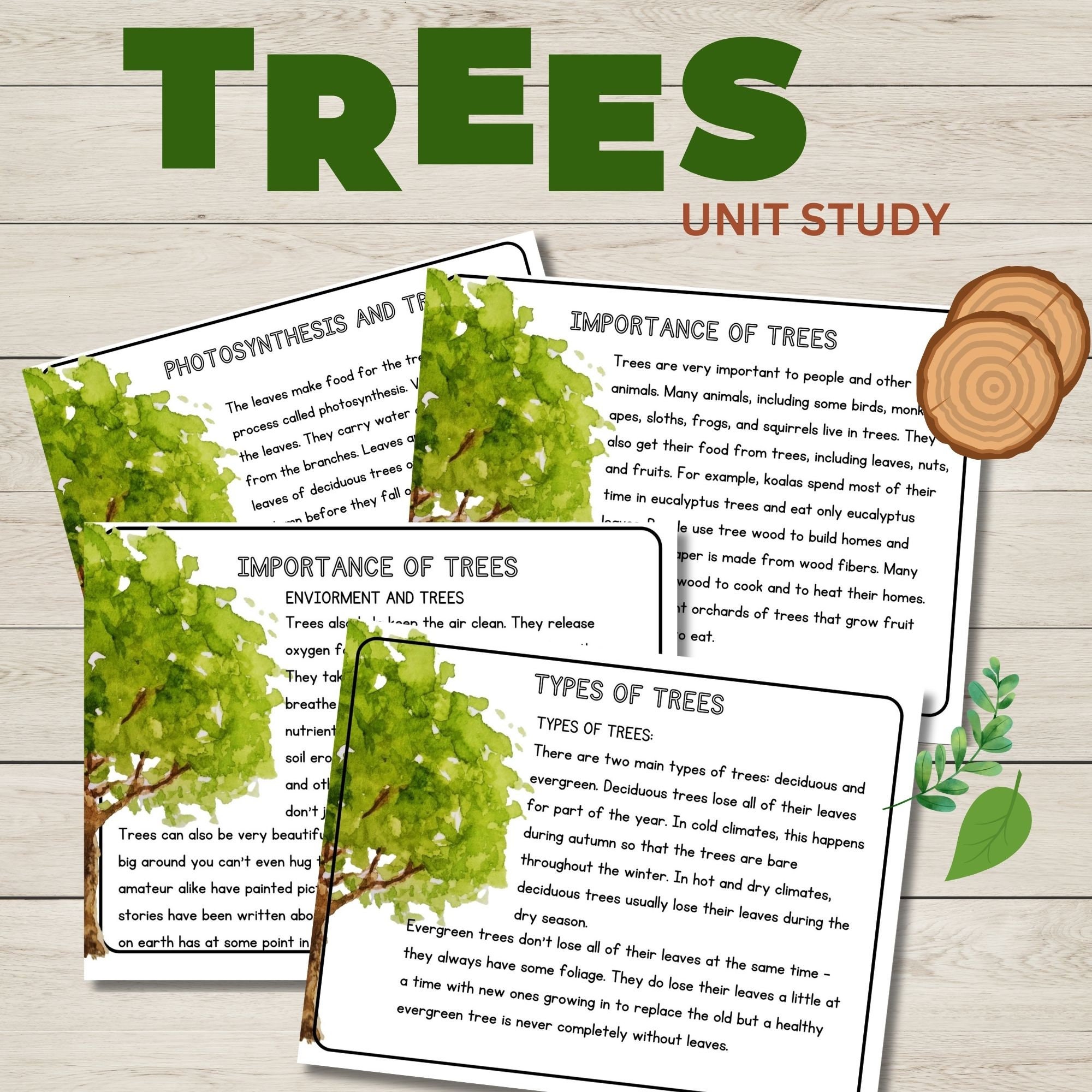 Tree Unit Study Bundle Charlotte Mason Nature Study Anatomy of a Trunk ...