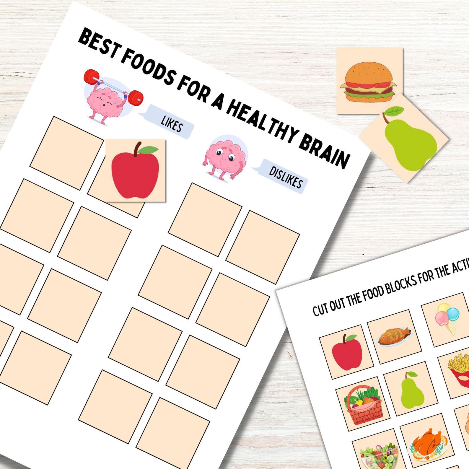 Homeschool Printable Bundle Brain Anatomy Worksheets Science Prints ...