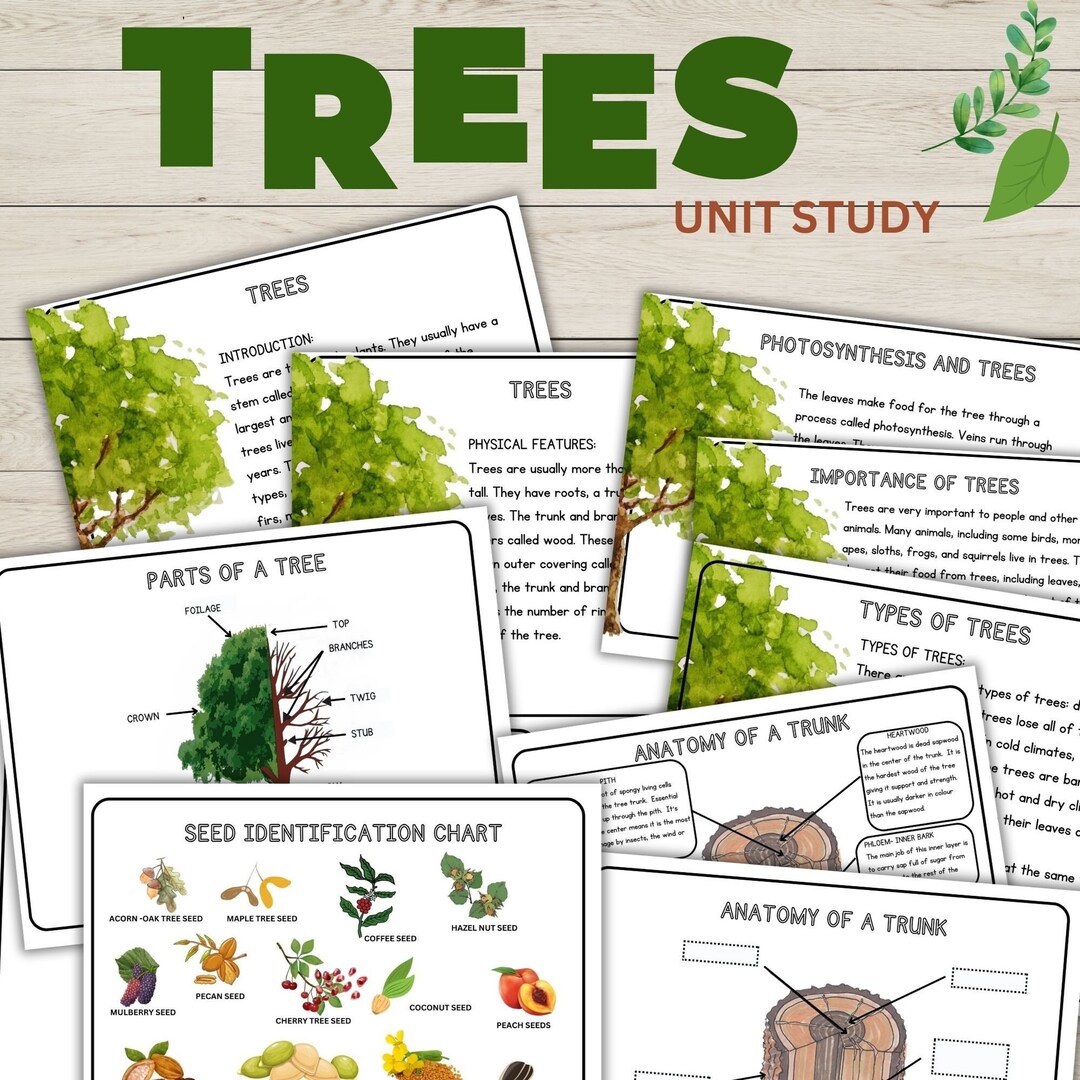 Tree Unit Study Bundle Charlotte Mason Nature Study Anatomy of a Trunk ...