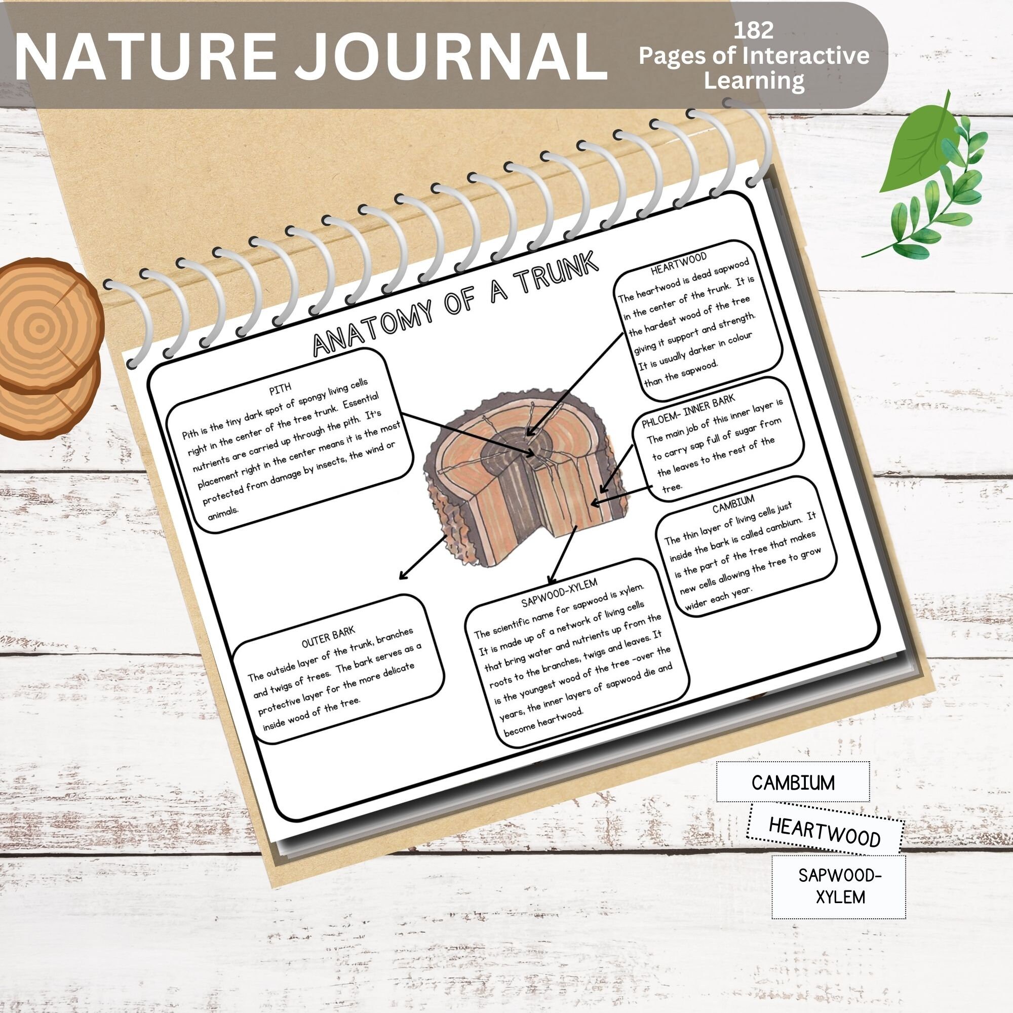 Nature Journal Mega Bundle Homeschool Learning Materials Charlotte ...