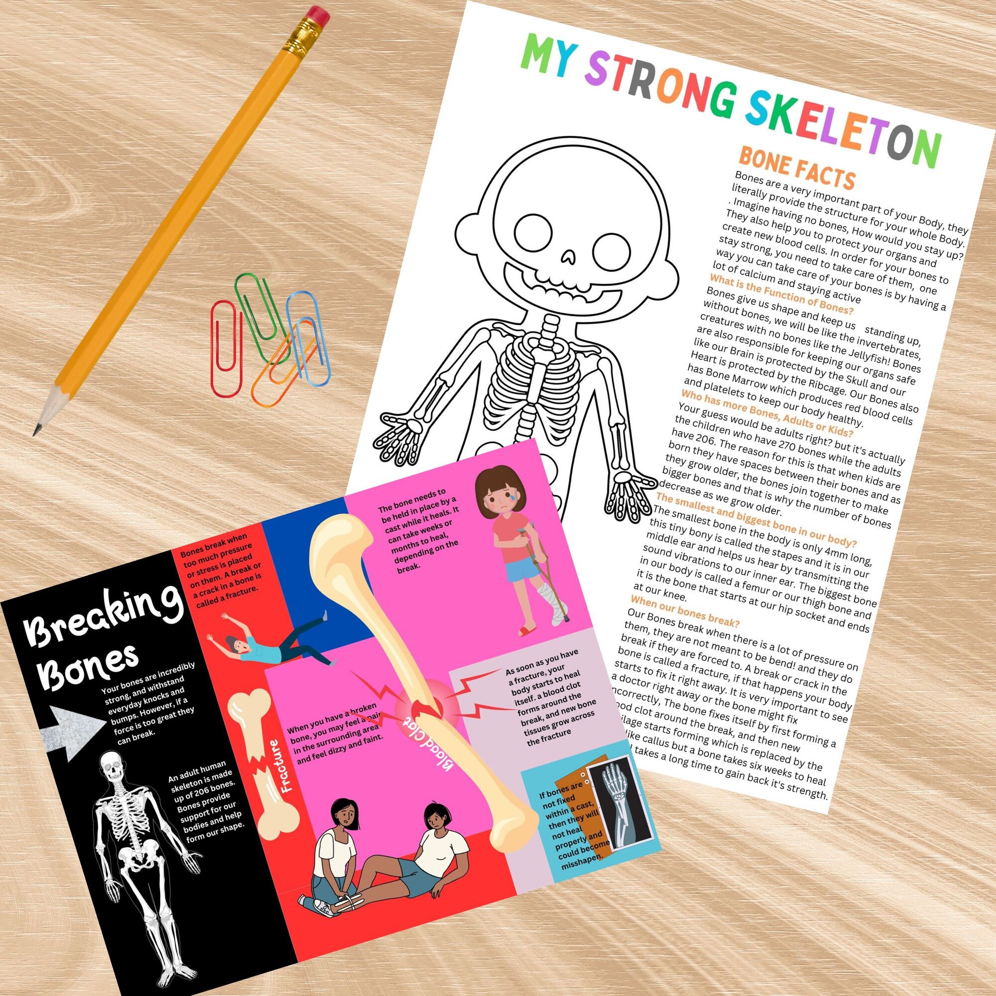 Human Skeleton Anatomy Busy Book Skeleton Study Printable Kids Learning ...