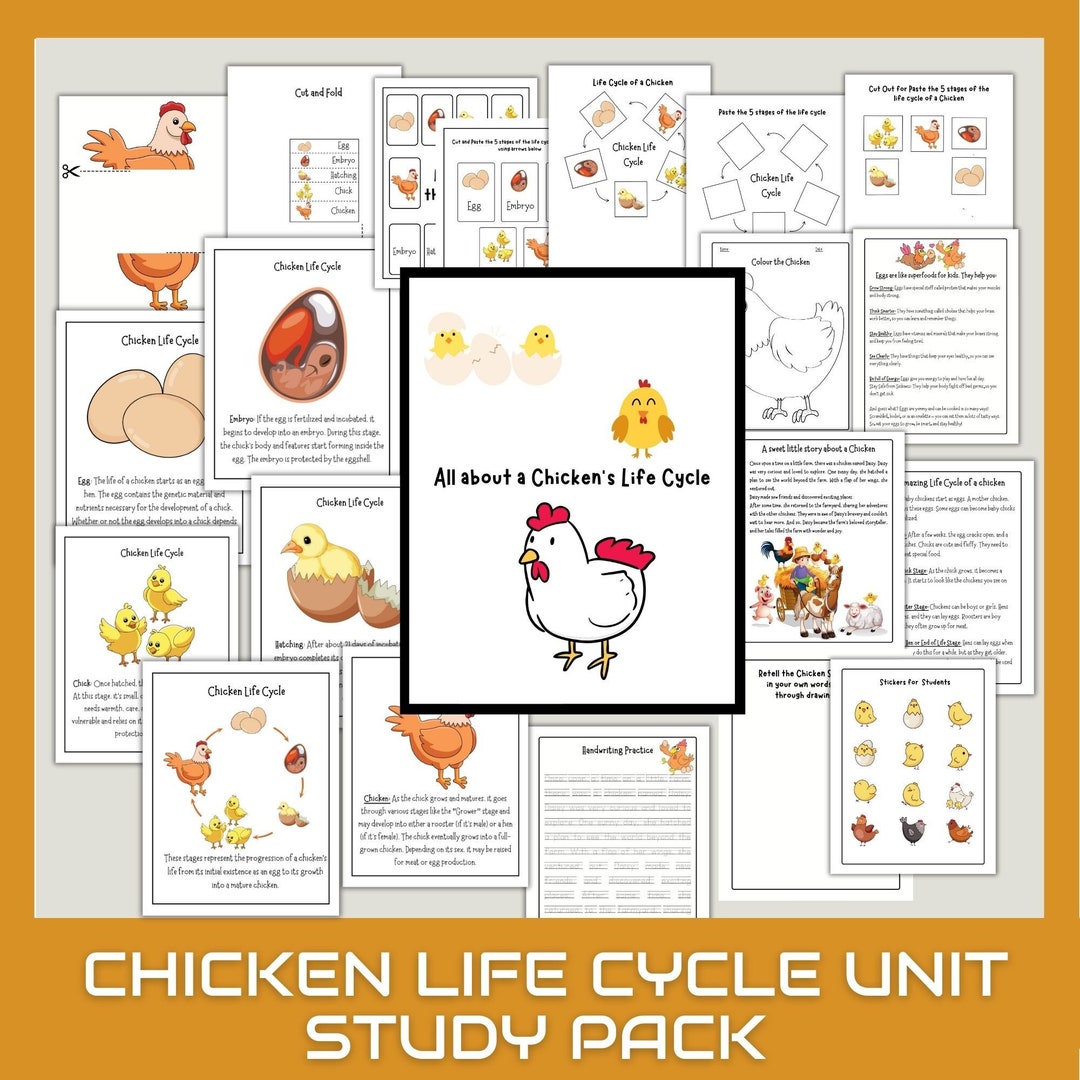 Chicken Unit Study Homeschool Summer Activities Chicken and Chick Life ...