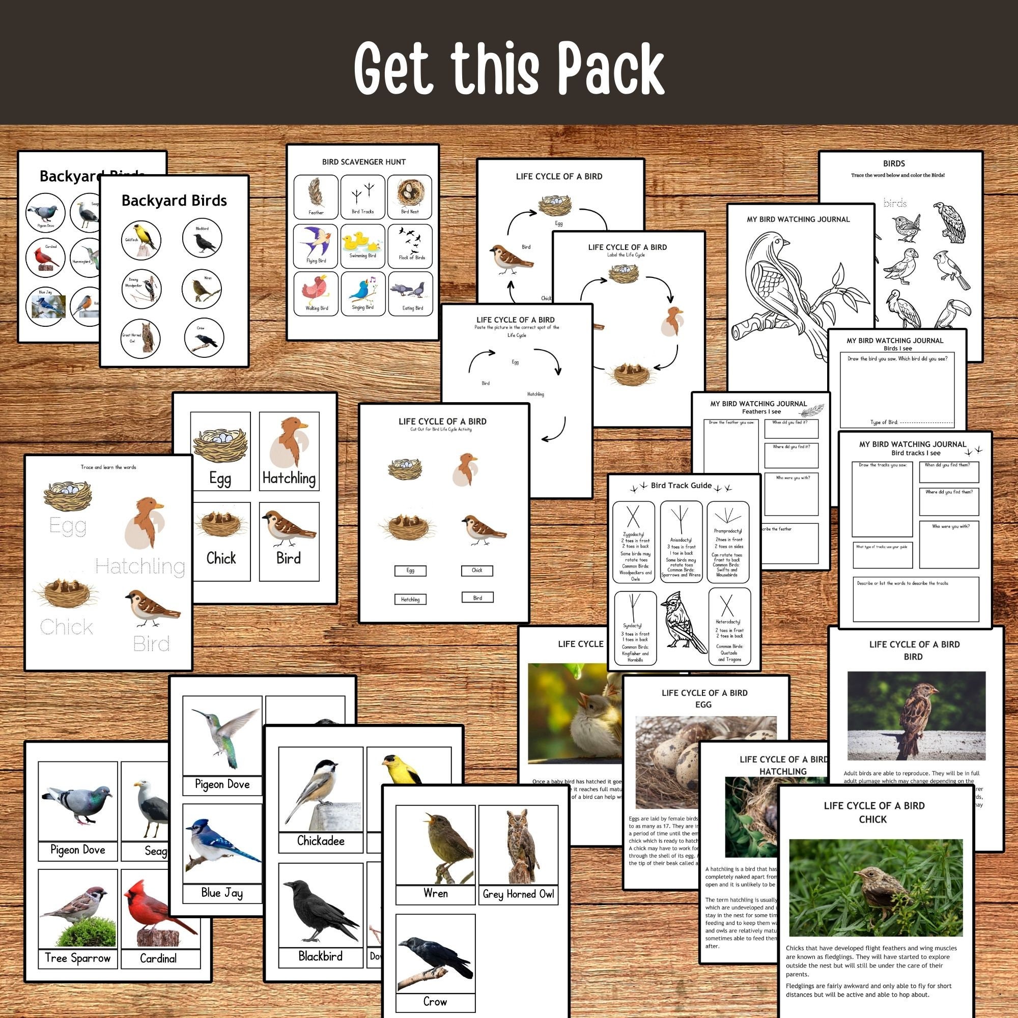 Printable Backyard Birds Unit Study Bird Watching Journal Kids - Etsy