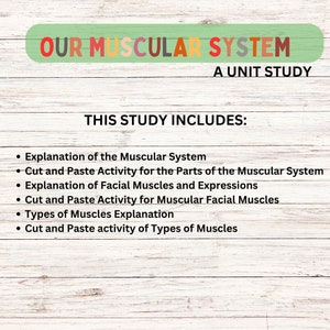 Muscular System Learning Bundle Human Anatomy Activity About Me Toddler ...