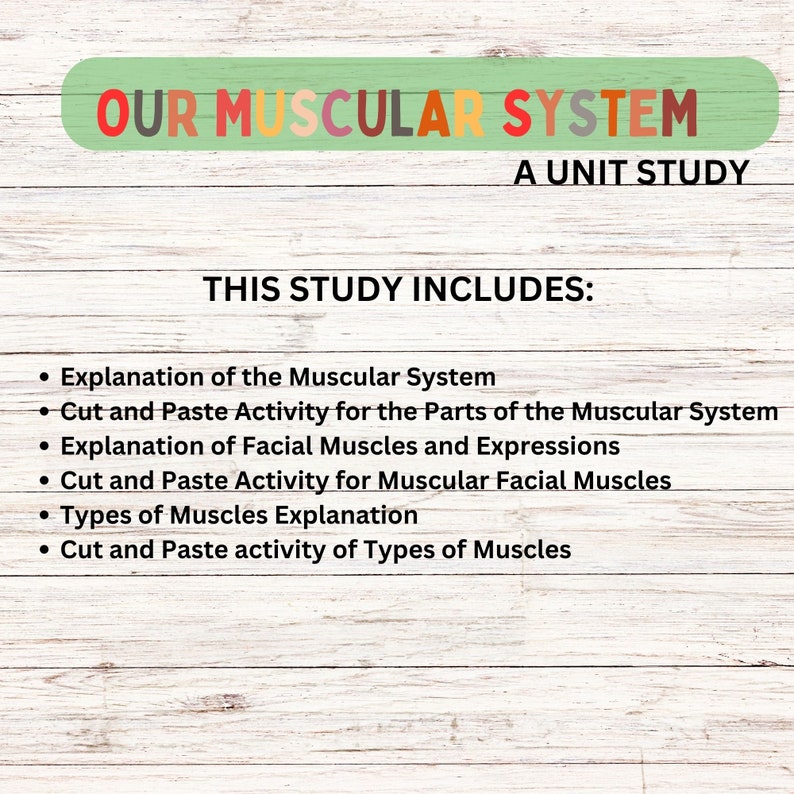 Muscular System Learning Bundle Human Anatomy Activity About Me Toddler ...