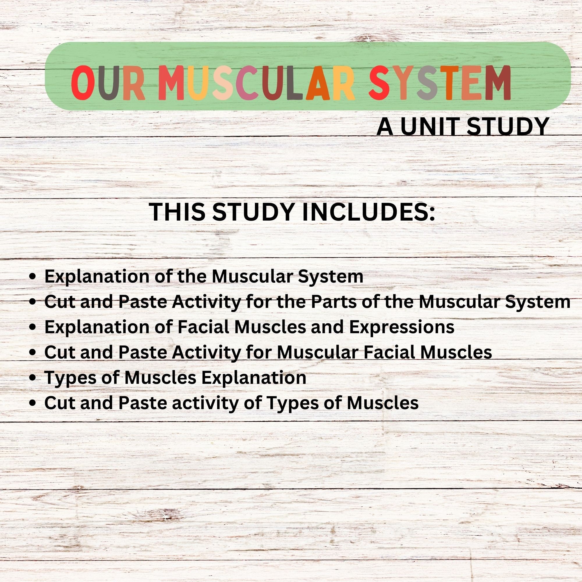 Muscular System Learning Bundle Human Anatomy Activity About Me Toddler ...