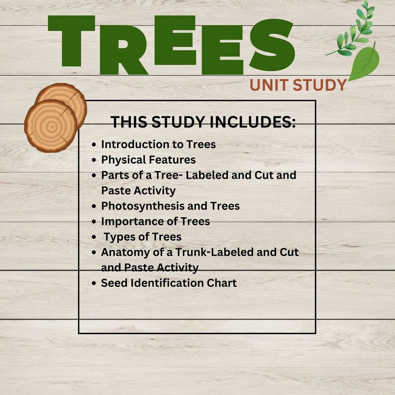 Tree Unit Study Bundle Charlotte Mason Nature Study Anatomy of a Trunk ...