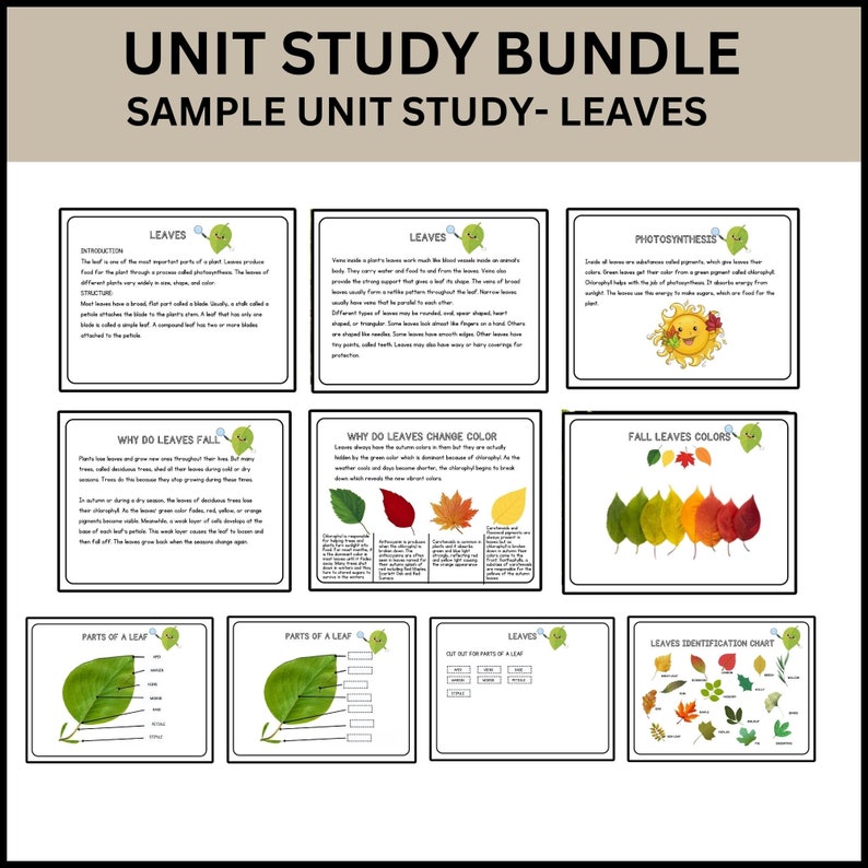 Unit Study MEGA BUNDLE Set of 25 Printable Preschool Unit Studies for ...