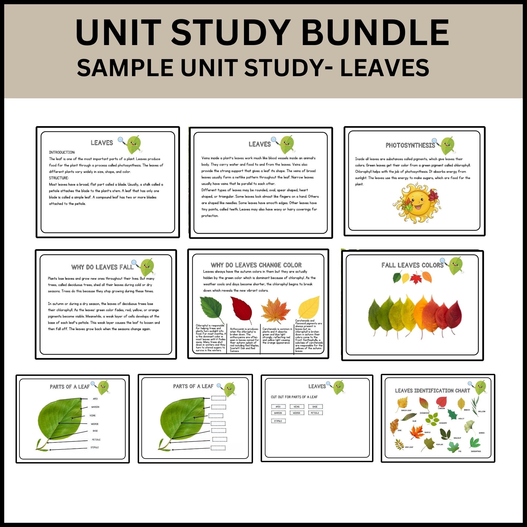 Unit Study MEGA BUNDLE Set of 25 Printable Preschool Unit Studies for ...