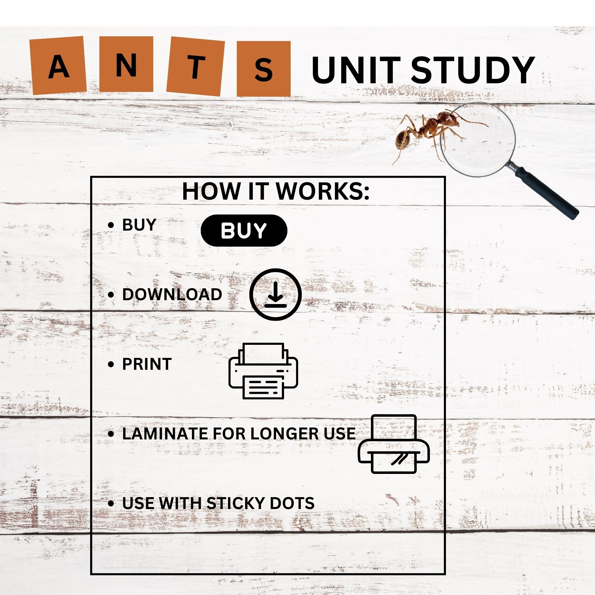Ant Nature Study Bundle Charlotte Mason Ant Colony Learning Materials ...