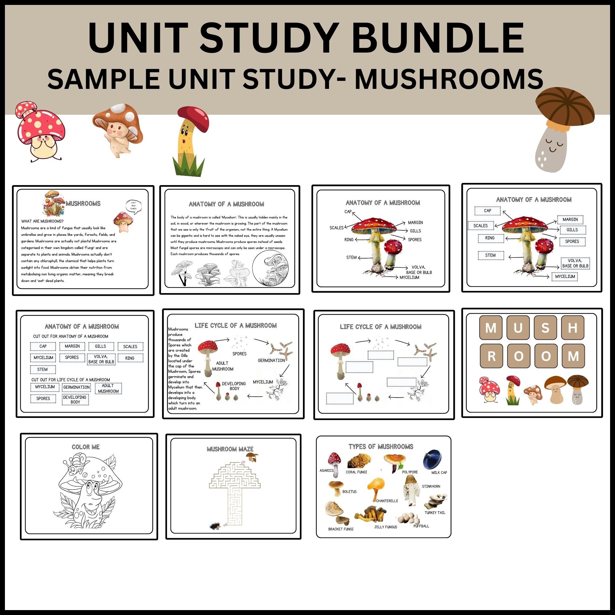 Unit Study MEGA BUNDLE Set of 25 Printable Preschool Unit Studies for ...